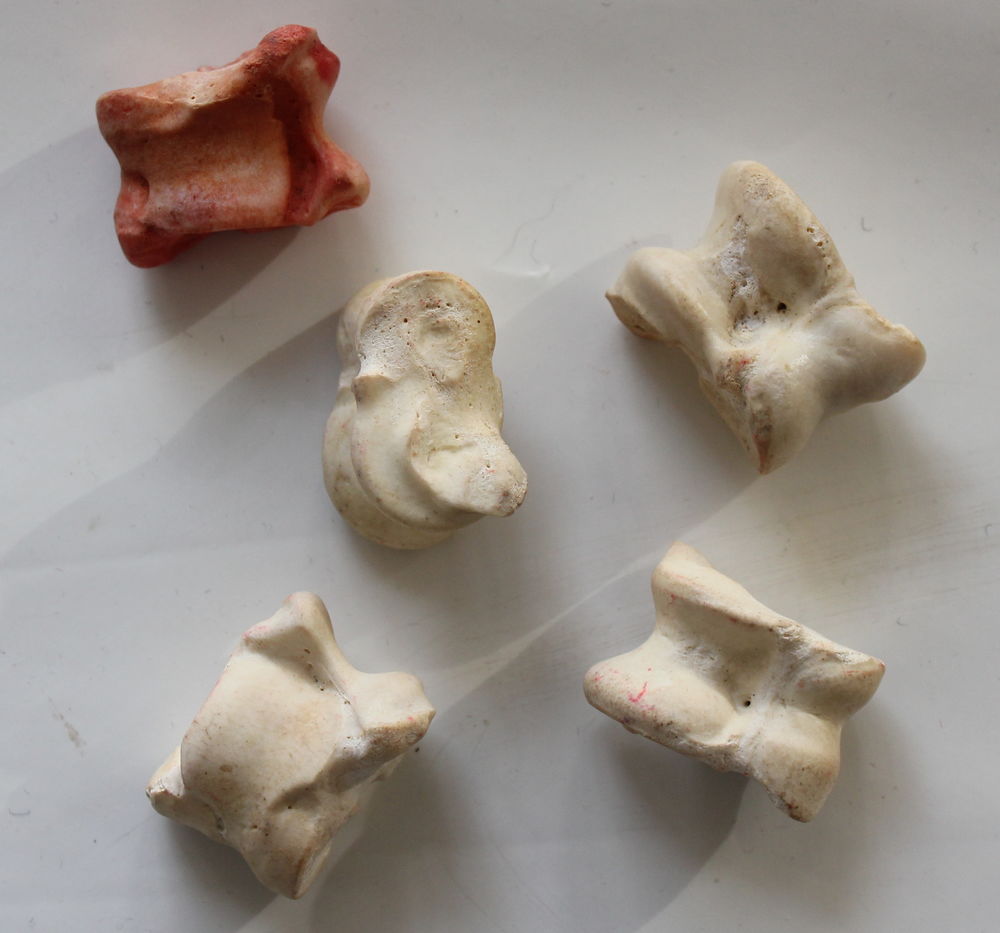 Achetez jeu ancien osselets occasion, annonce vente à Issy-les ...