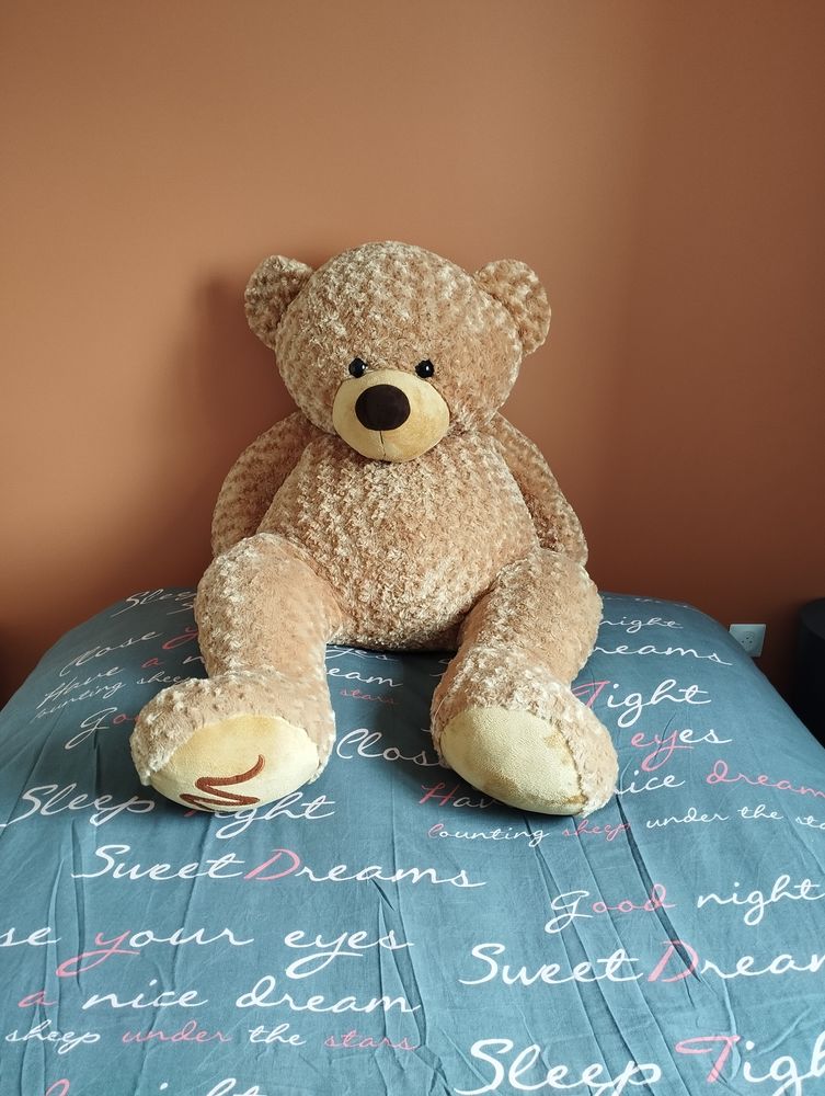 Achetez beau gros nounours occasion, annonce vente à Champlay (89 ...