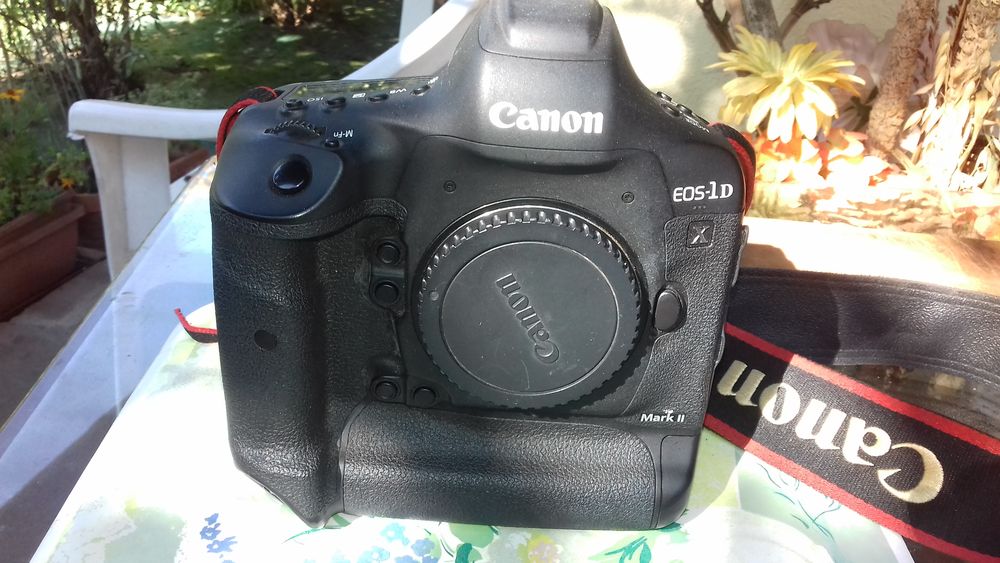 Achetez canon eos dx mark 2 occasion, annonce vente à Albé (67) WB170856556