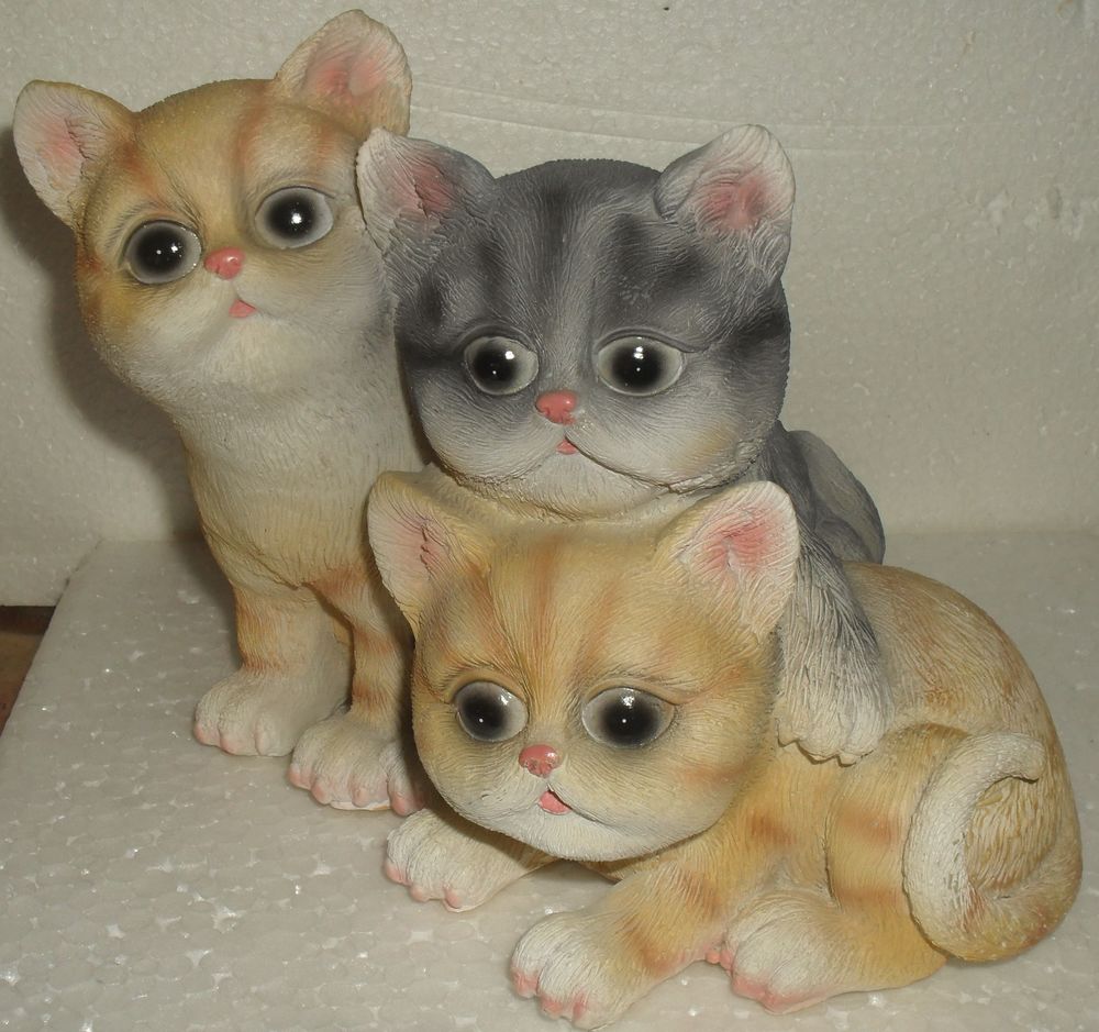 Achetez 3 chatons neuf - revente cadeau, annonce vente à Montreuil (93 ...