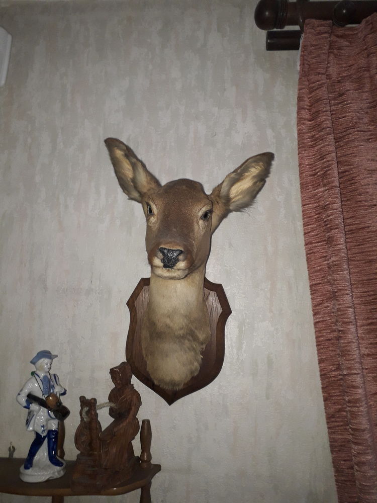 Achetez collection troffée occasion, annonce vente à Guignicourt (02 ...