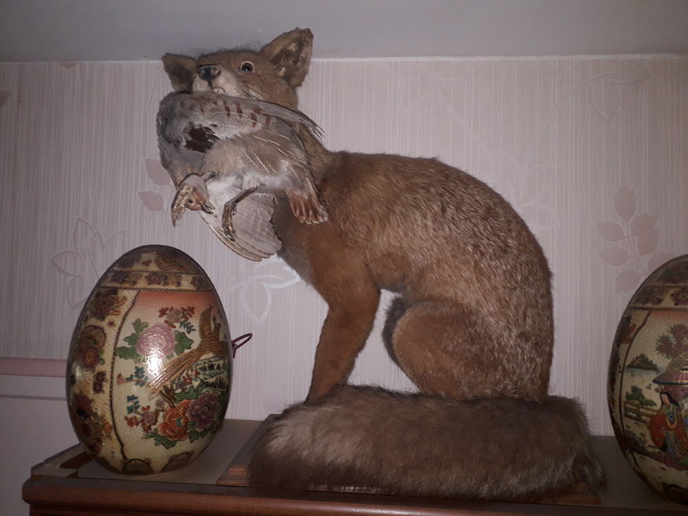 Achetez collection troffée occasion, annonce vente à Guignicourt (02 ...