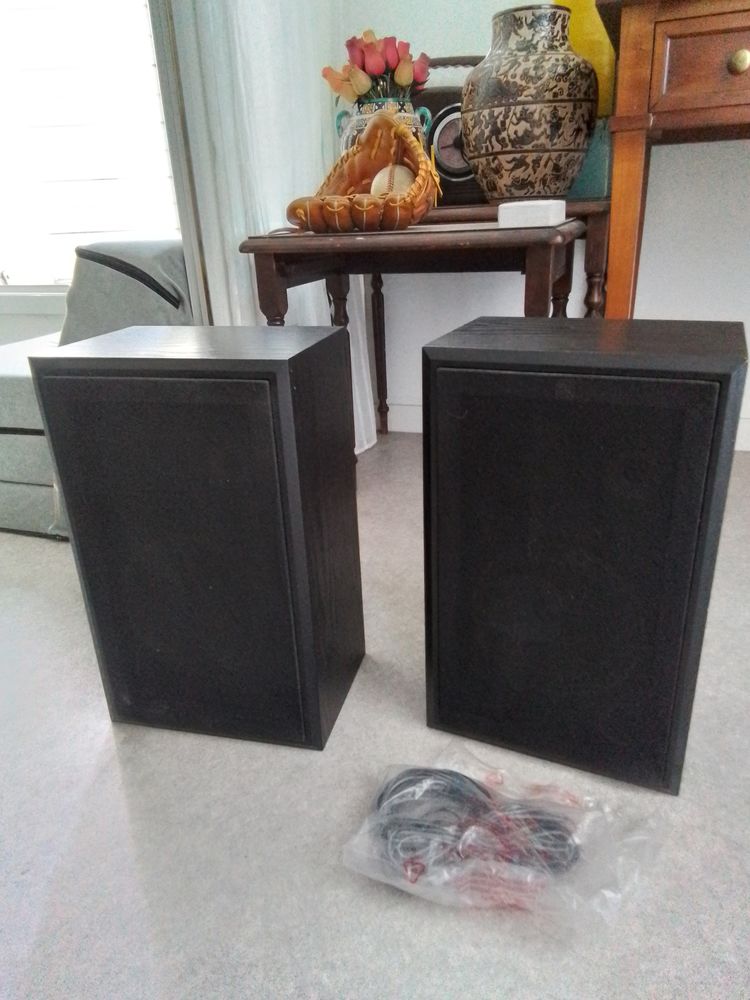Achetez enceintes dual cl occasion, annonce vente à Grenoble (38 ...