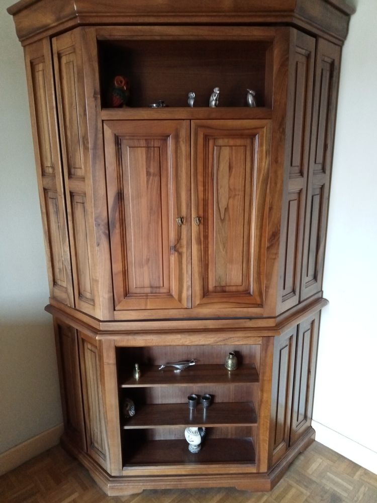 Achetez meuble pivotant occasion, annonce vente à Lyon (69) WB169904634