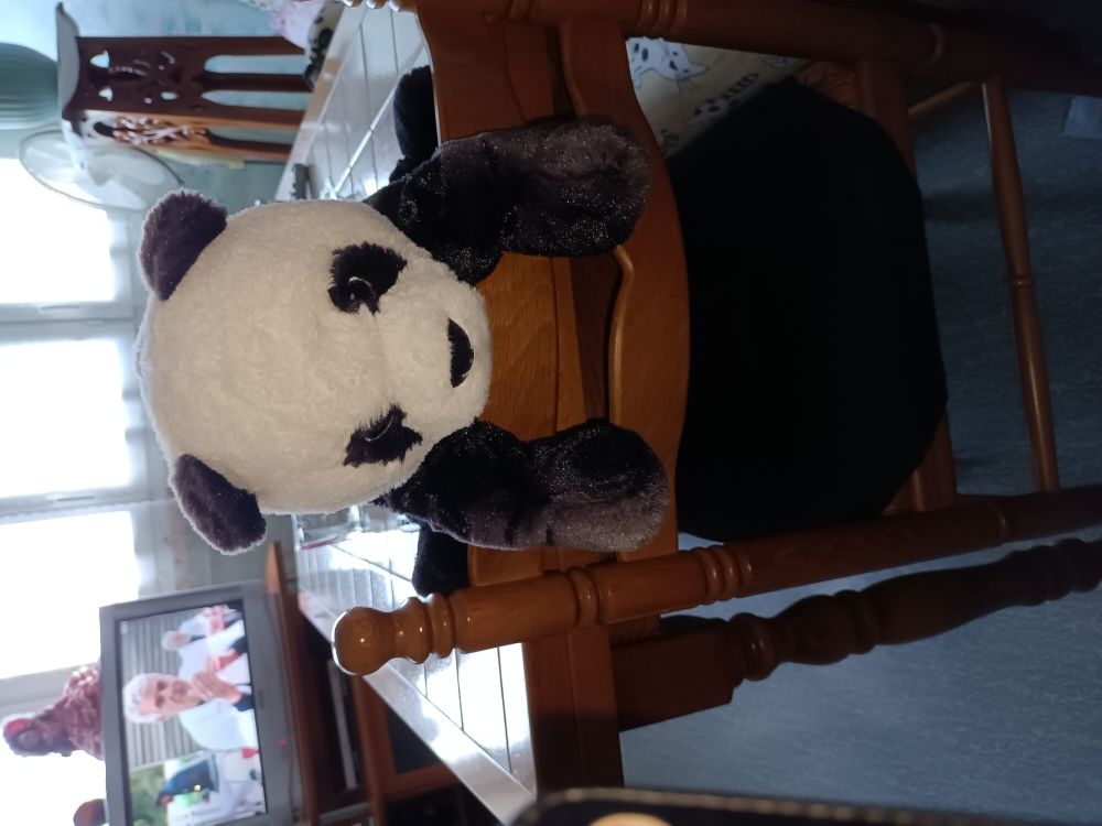 Troc peluche panda vend occasion, annonce à Amiens (80) WB171600465