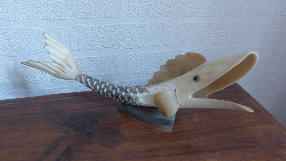 Achetez poisson en corne occasion, annonce vente à Auxonne (21) WB168256883