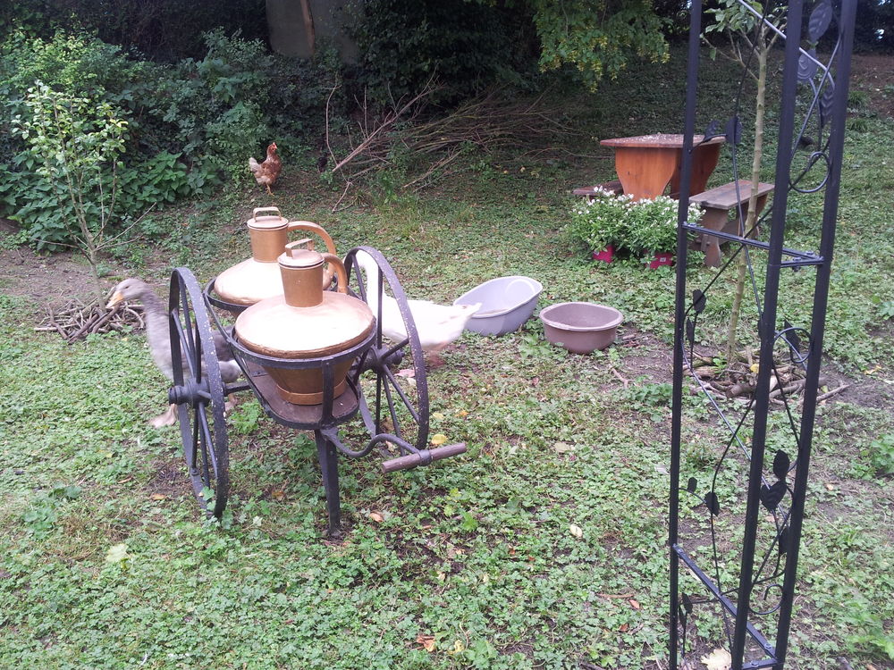 Achetez rare charette occasion, annonce vente à Avesnelles (59) WB164281501