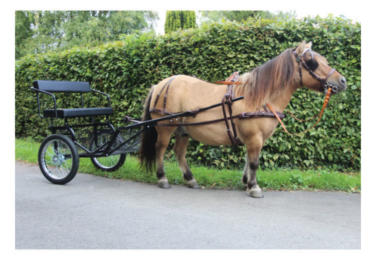 Achetez sulky pour mini quasi neuf, annonce vente à Mesquer (44 ...