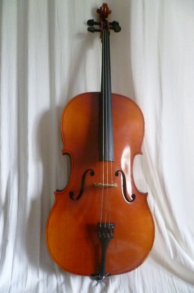 Violoncelles occasion en Île-de-France , annonces achat et vente de ...