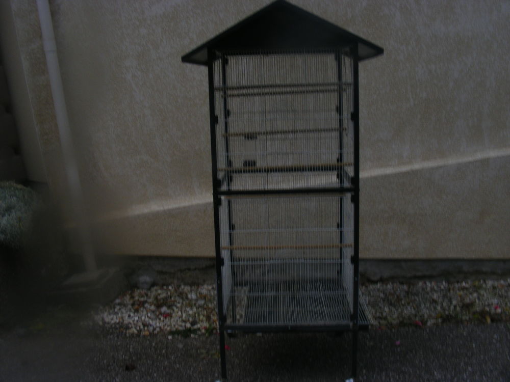 Achetez volier oiseau volier occasion, annonce vente à Baccarat (54 ...