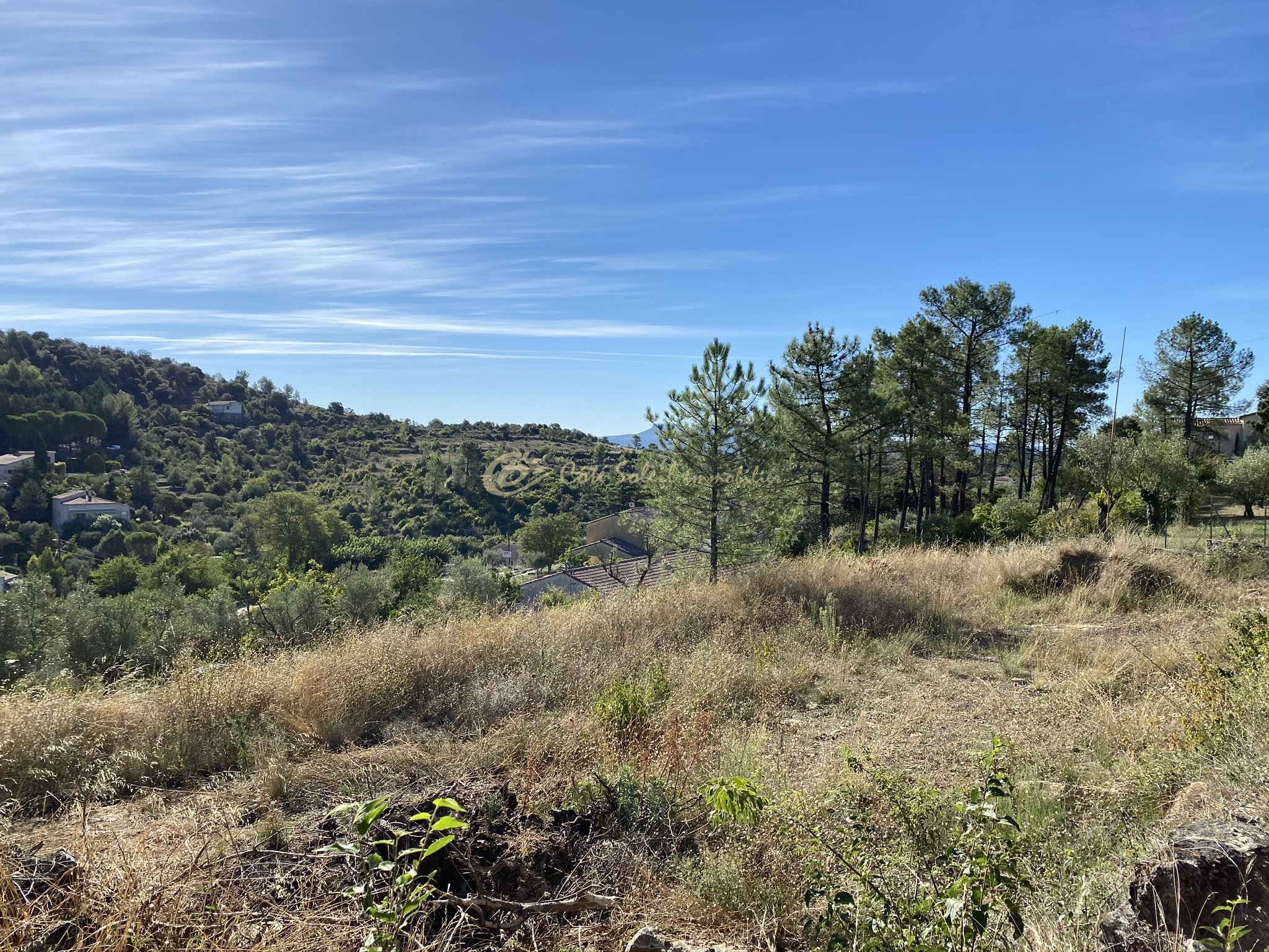 Vente terrain Les Mages (30960) : annonces terrains à vendre - ParuVendu.fr