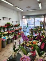 Vente commerce fleurs, fleuriste : annonces commerces fleurs ...