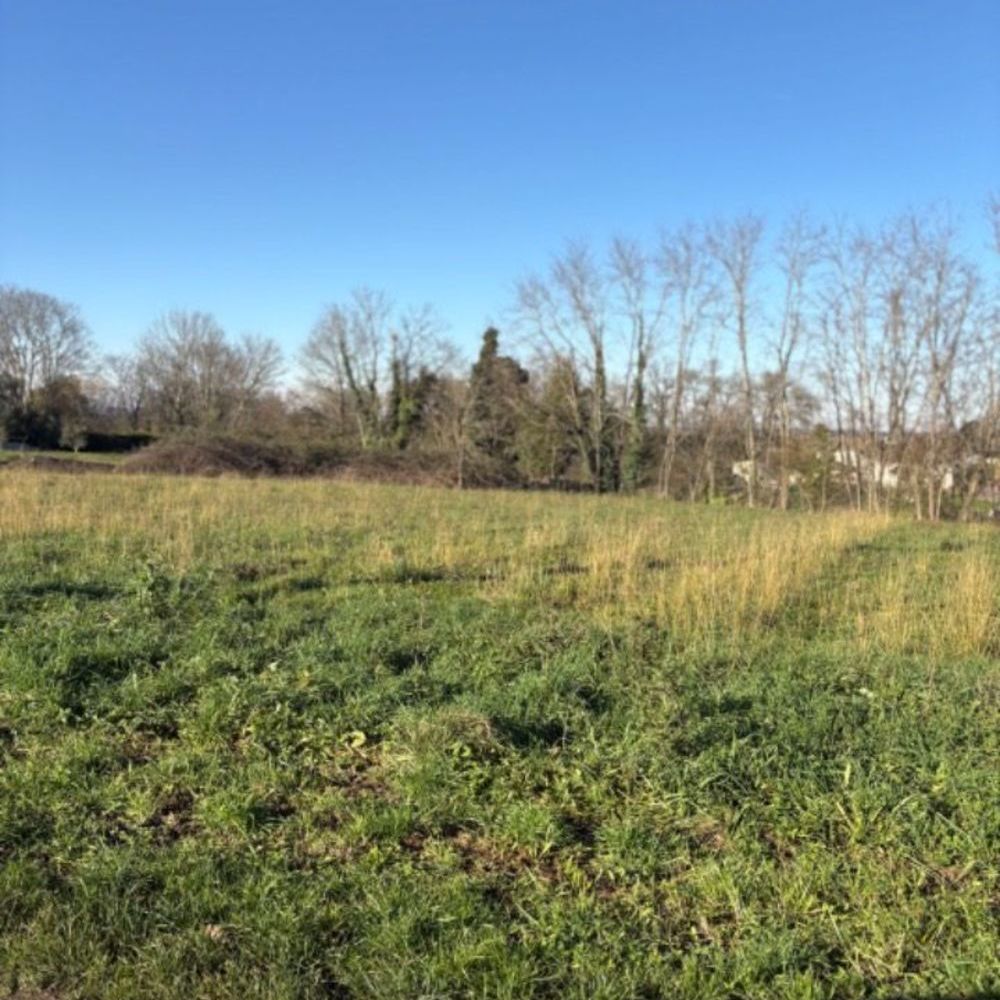 Programme neuf Terrain à partir de 1000m² à Branne à Branne (33420 ...