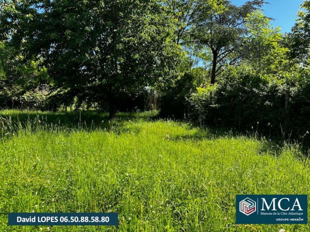 Programme neuf Terrain à partir de 600m² à Branne à Branne (33420) - 174104