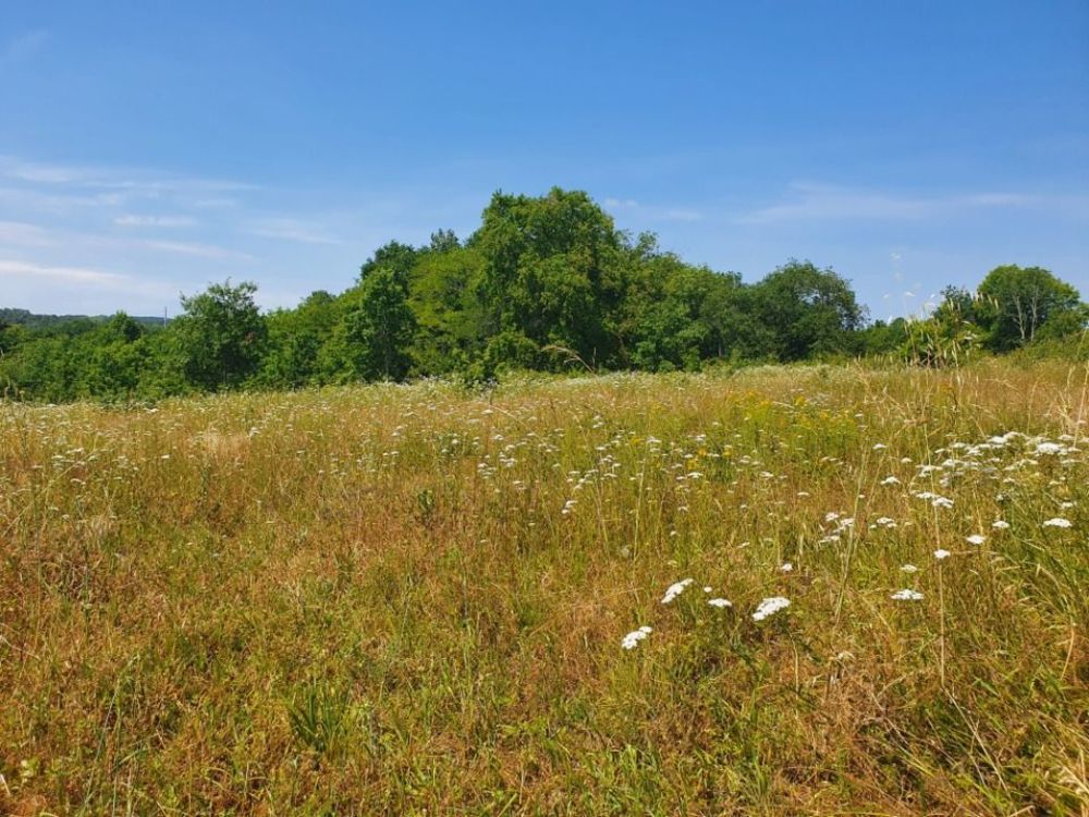 Programme neuf Terrain à partir de 320m² à Abzac à Abzac (33230) - 175576