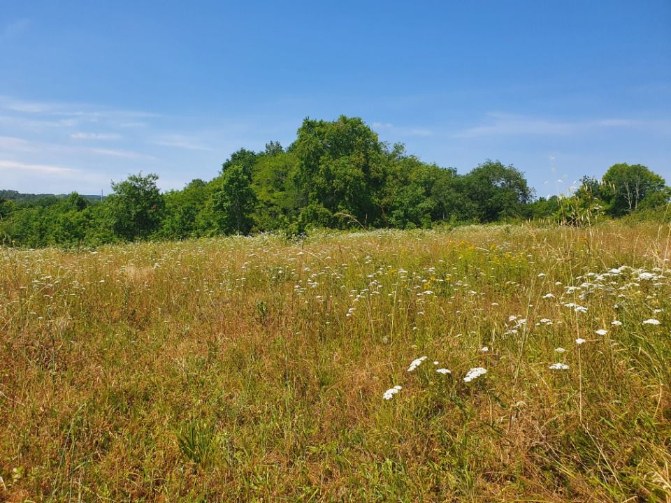 Programme neuf Terrain à partir de 600m² à Marsas à Marsas (33620) - 169672